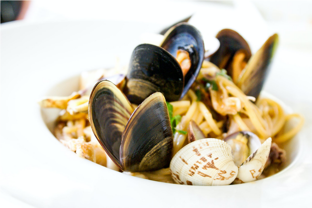 Raw Mussels: A Healthy and Sustainable Seafood - Green Suburb